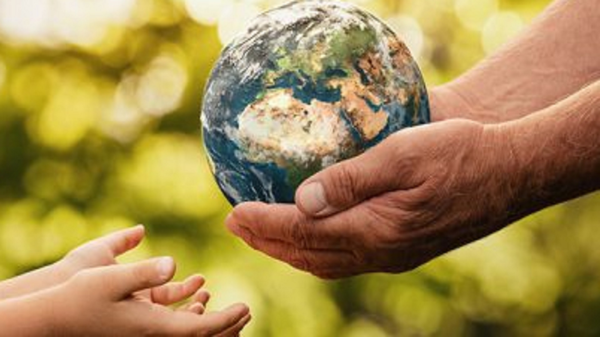 DSM Engineering Materials accelerates its sustainability program ...