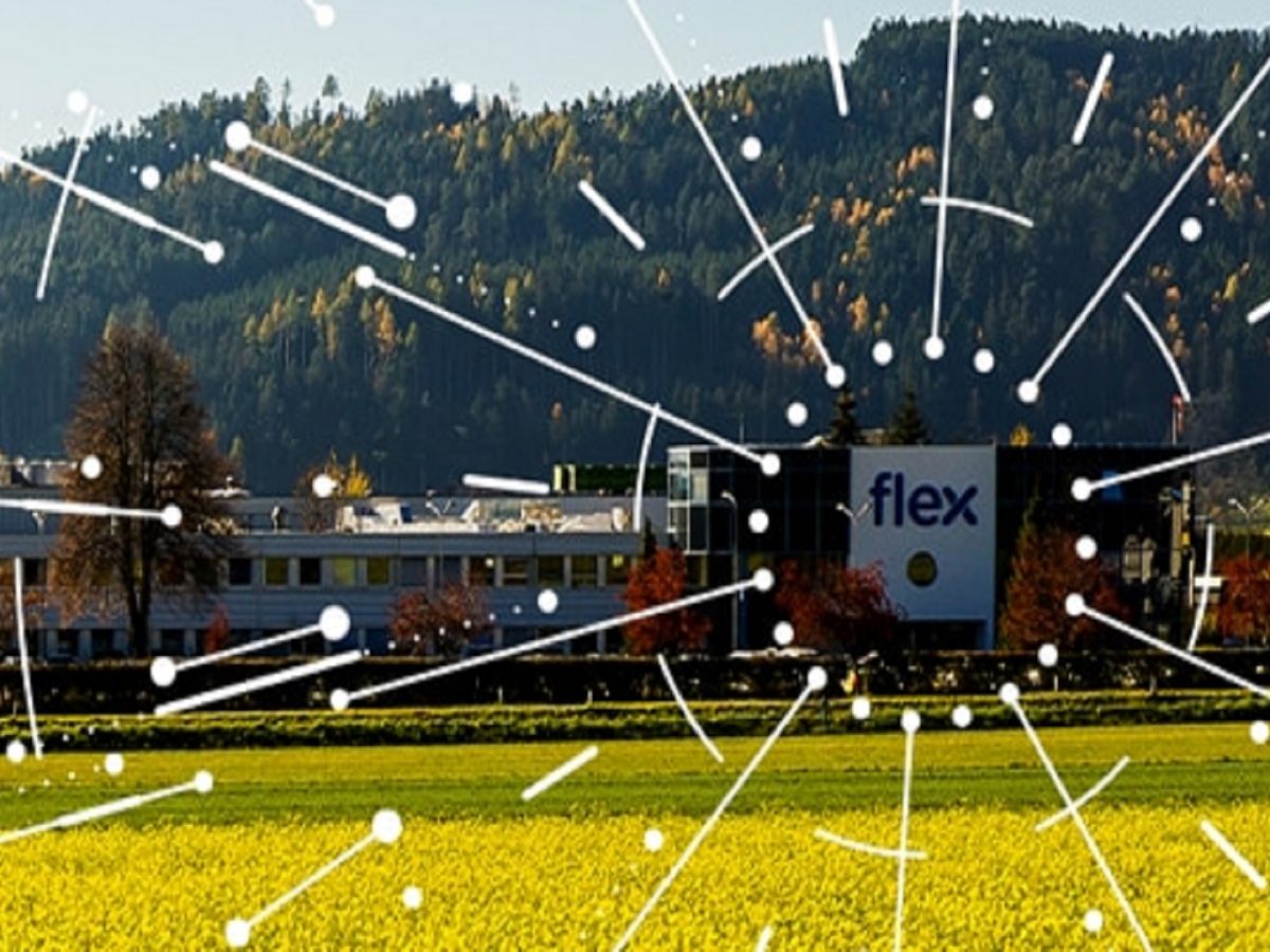 Flex GBS India awarded Silver at SSON’s Diversity and Inclusion Impact ...