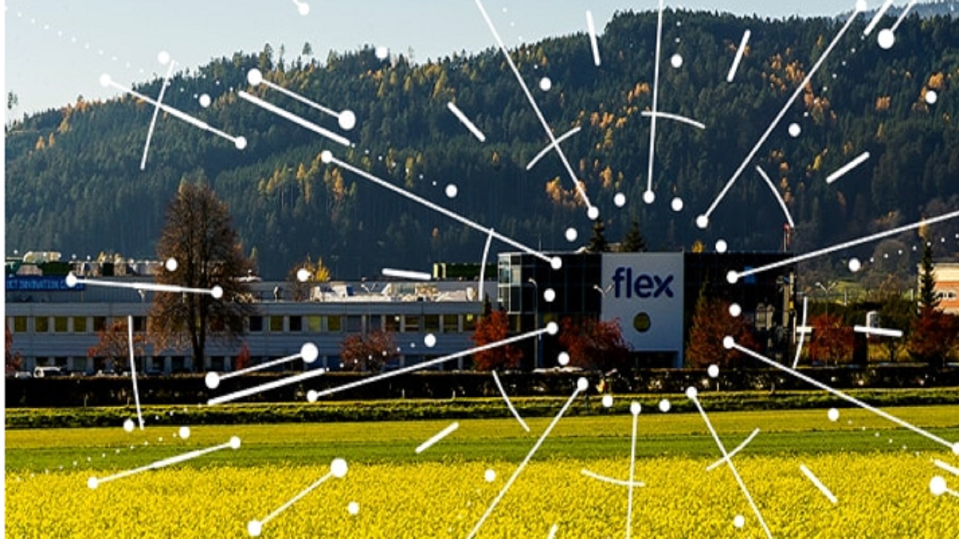 Flex GBS India awarded Silver at SSON’s Diversity and Inclusion Impact ...