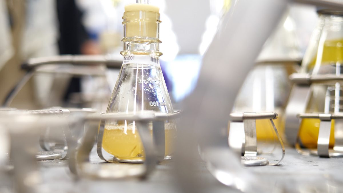 Green alternatives to synthetic polymers from bio-based materials ...