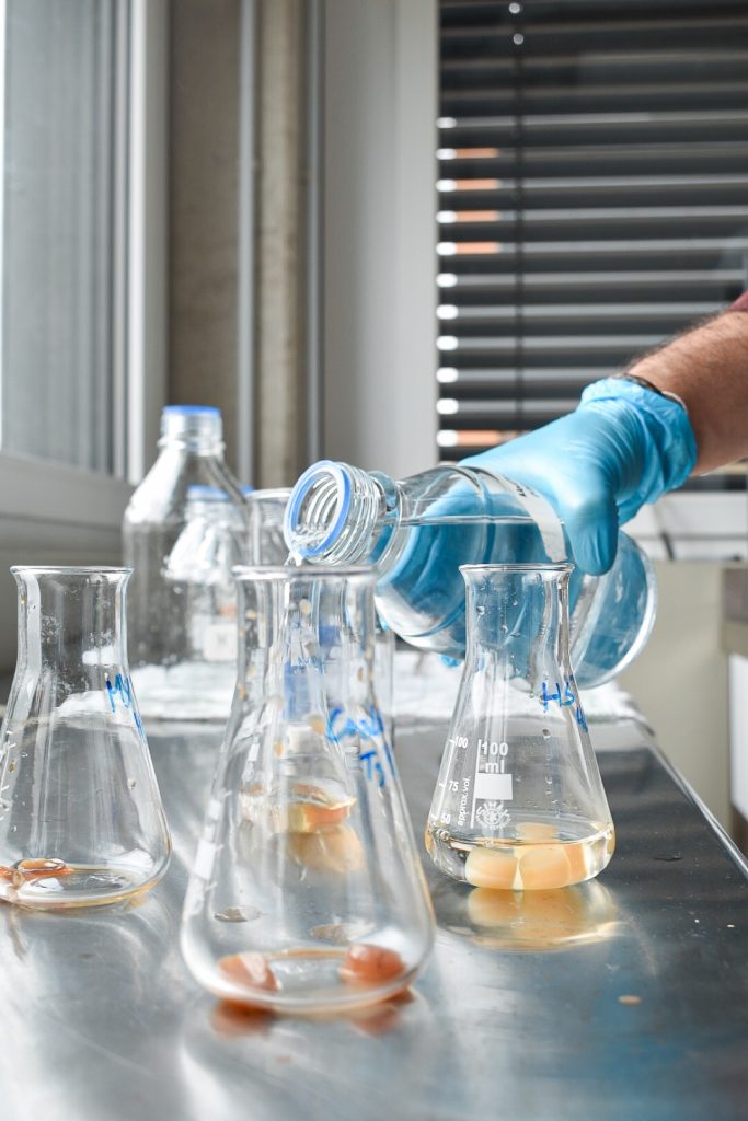 Green alternatives to synthetic polymers from bio-based materials ...