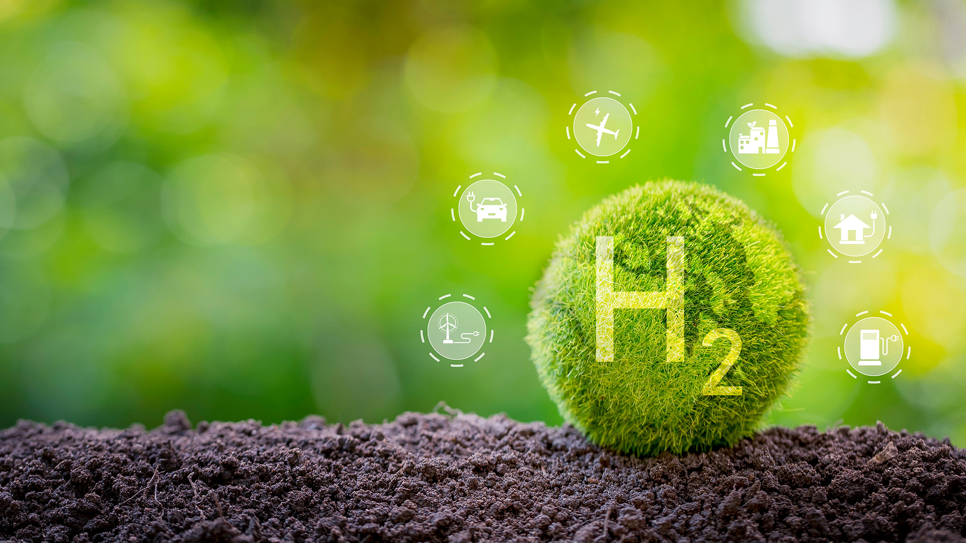 Green Hydrogen Production Companies In India at Christopher Schauer blog