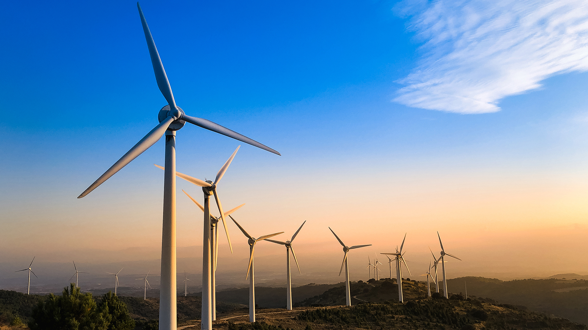 Reliance Industries embarks on wind power and offshore ventures ...