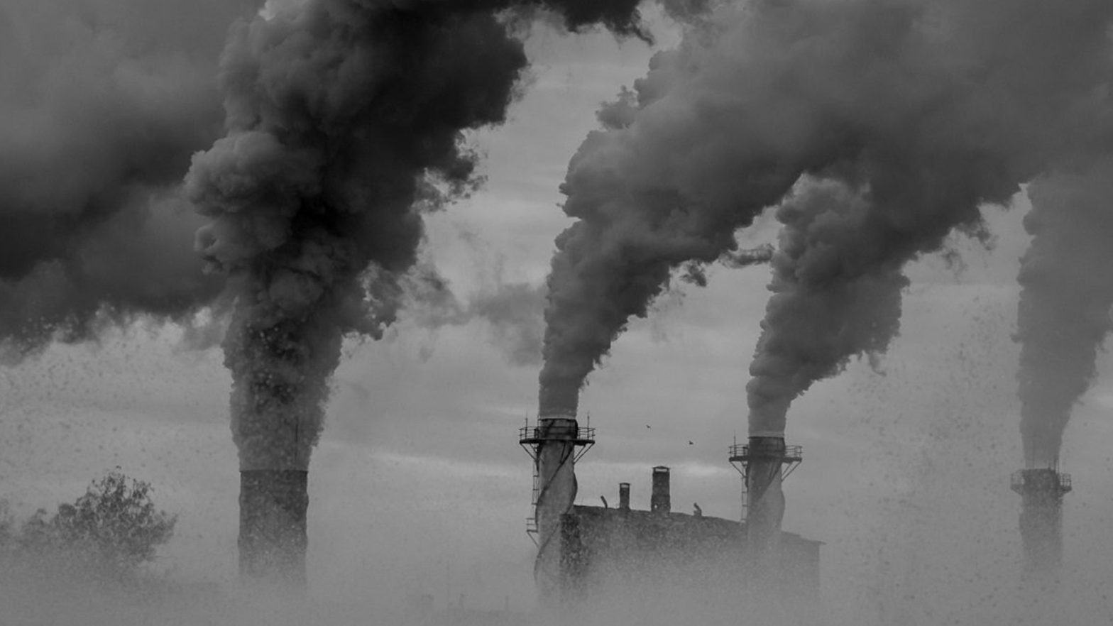 J'khand sparks debate: Limiting new coke units in Dhanbad to fight air ...