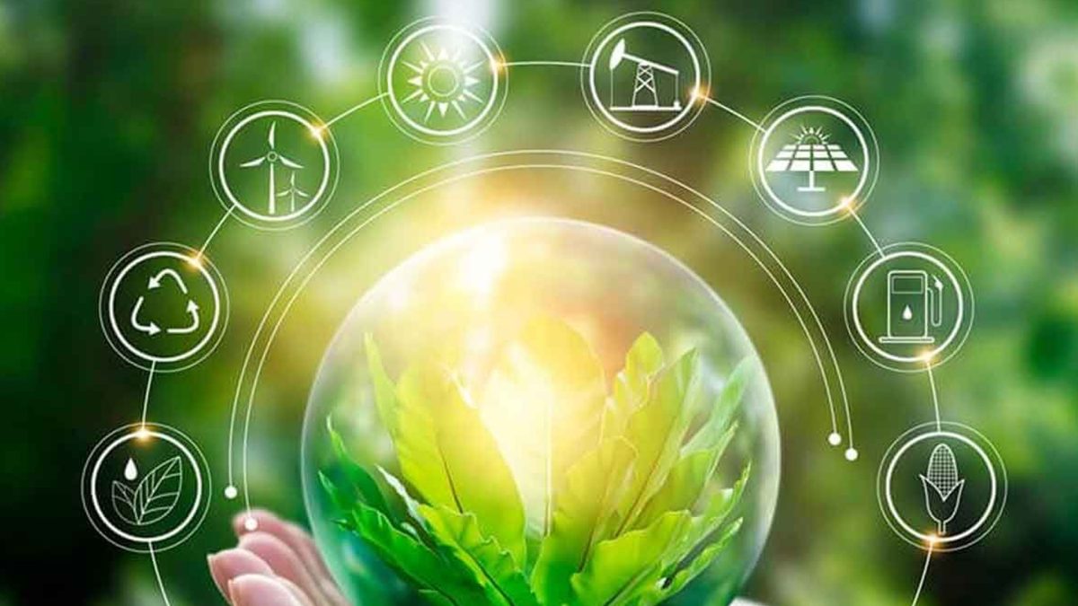 Green economy propels India's workforce, 3.7 million jobs expected by ...