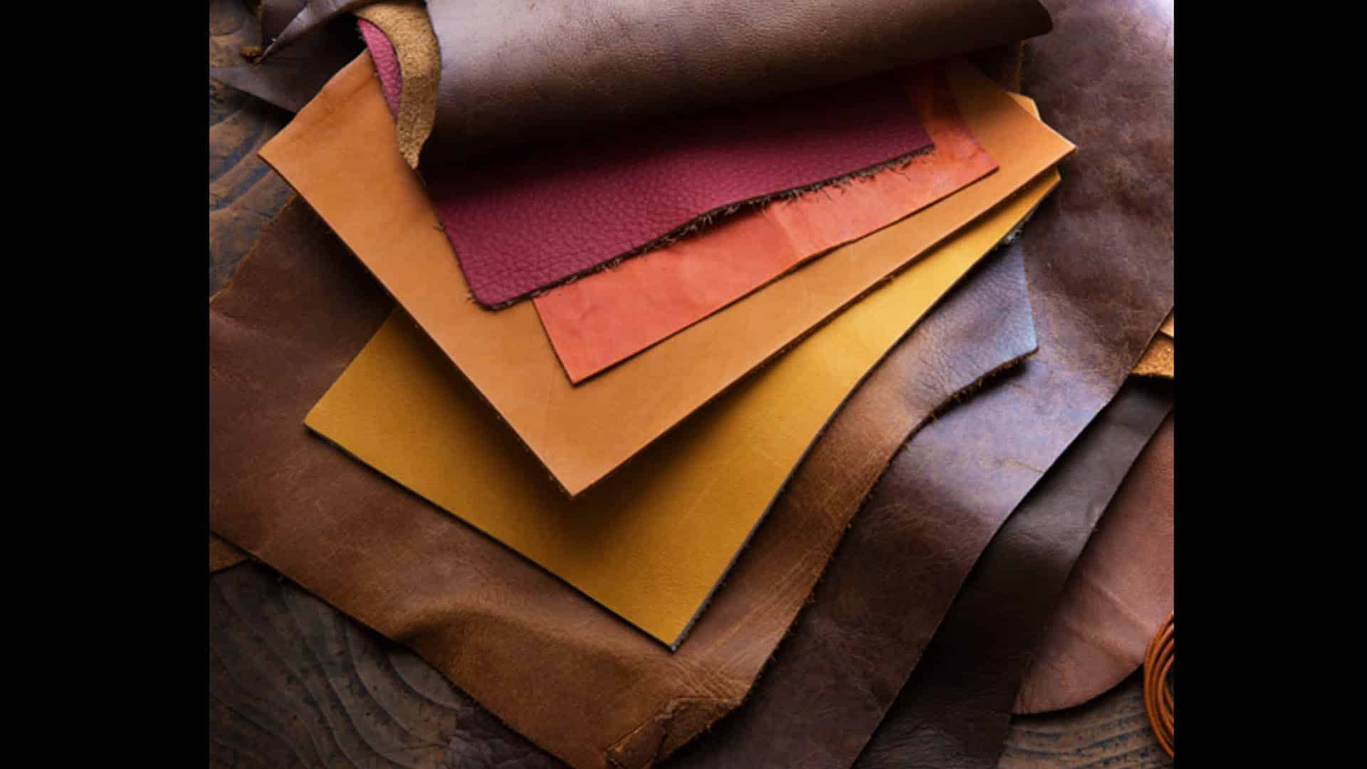 Syn-Bios and Pidilite industries collaborate to redefine leather ...