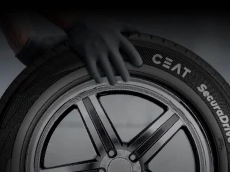 CEAT launches tree planting initiative to commemorate World Environment ...