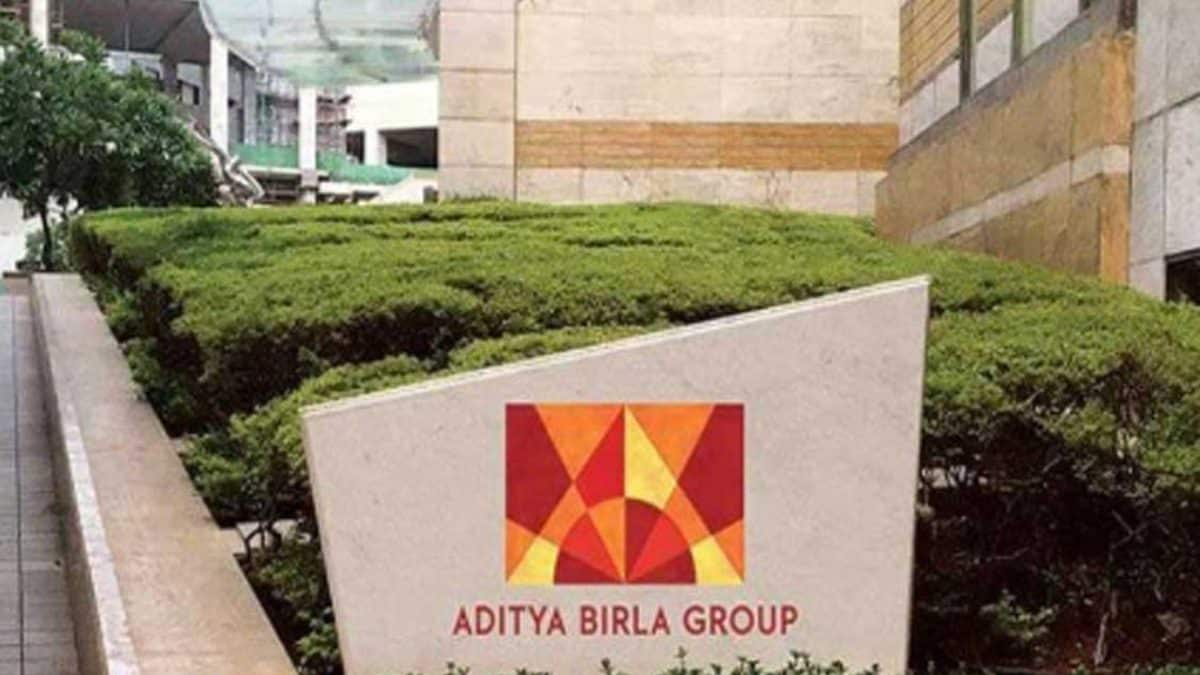 Aditya Birla Group's two new business endeavours introduced for 2024 ...