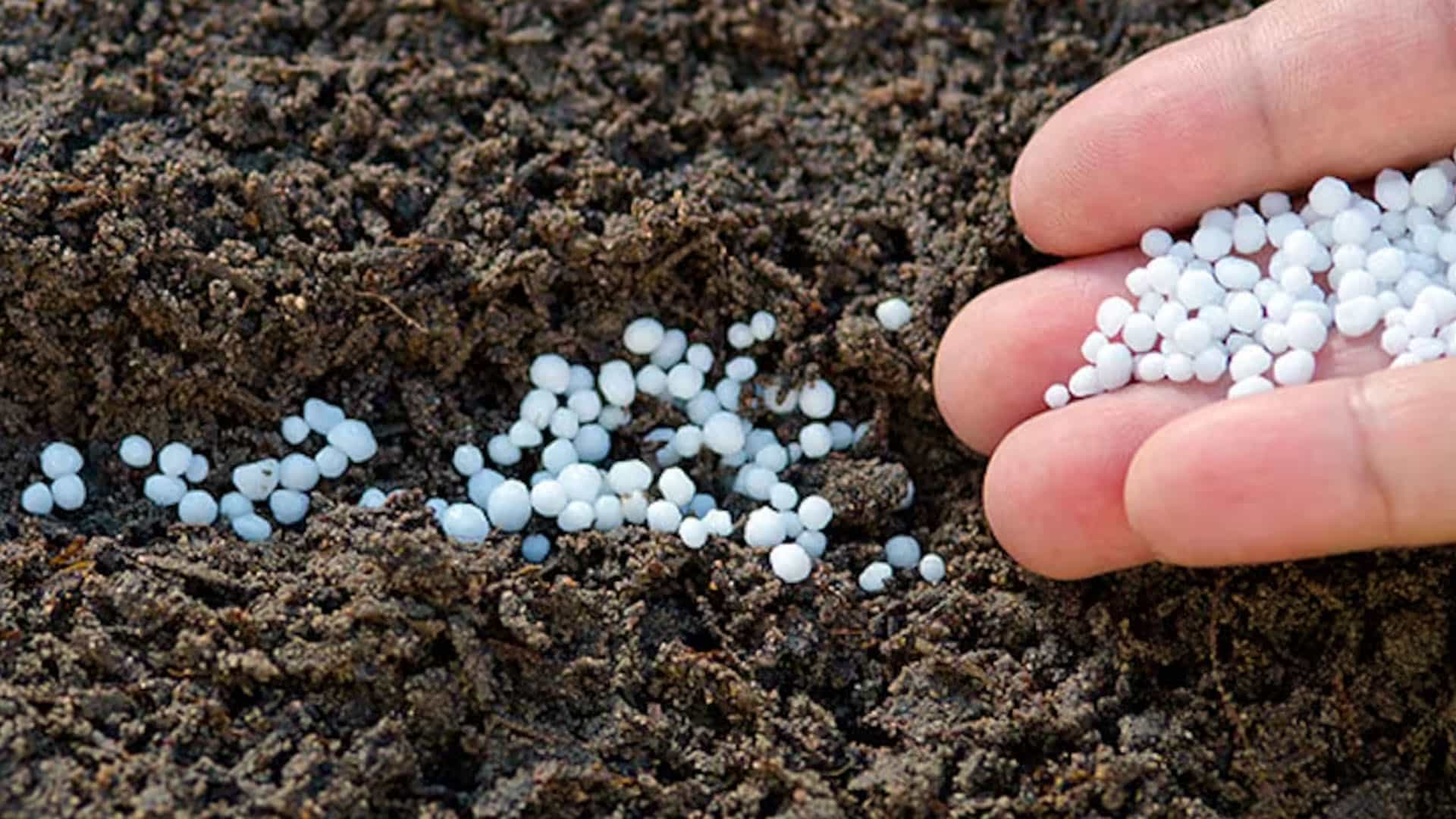 MCNL unveils nano urea plant in Ahmedabad, targets agrochemical growth ...