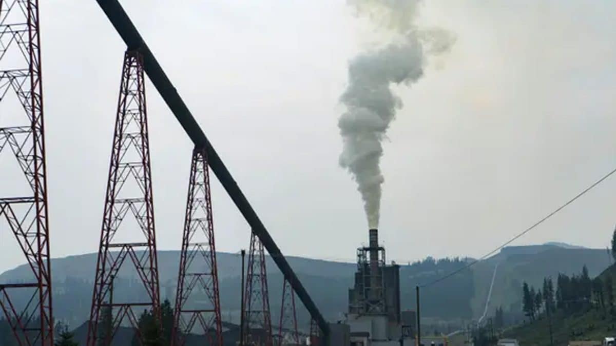 THDC's Rs 12,000-crore project set for September launch - Manufacturing ...