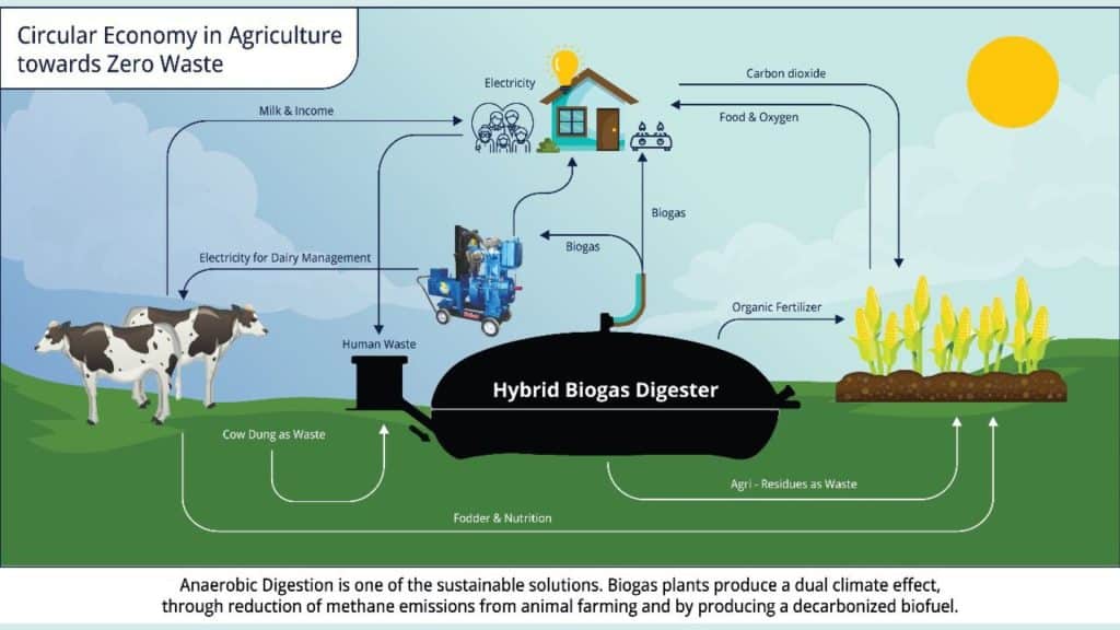 Sustainable energy solutions: The role of biogas plants in the circular ...