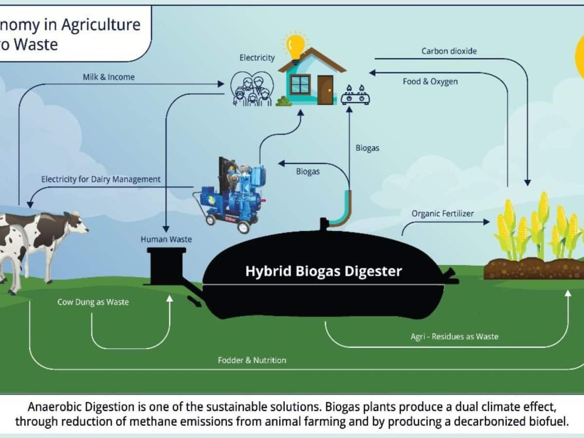 Sustainable energy solutions: The role of biogas plants in the circular ...