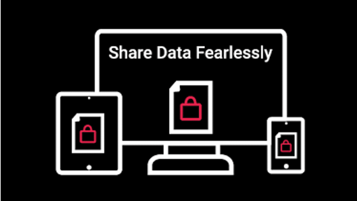 Seclore introduces new professional services to enhance data security ...