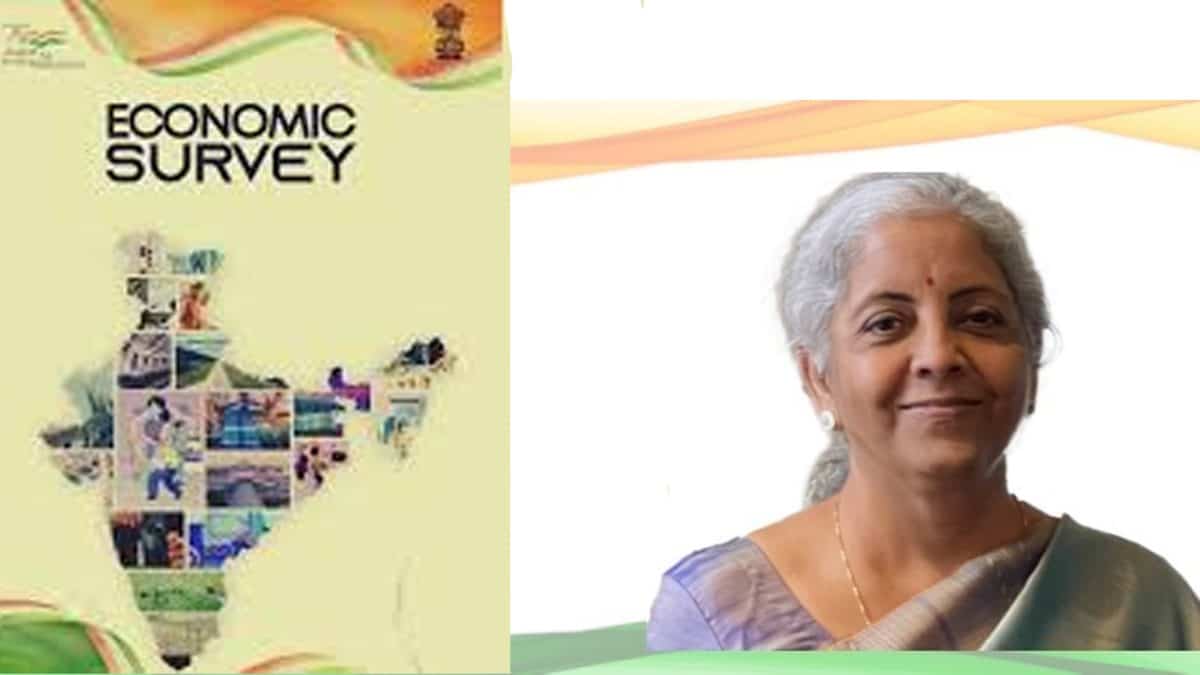 Economic survey report 2024: Key insights and implications ...