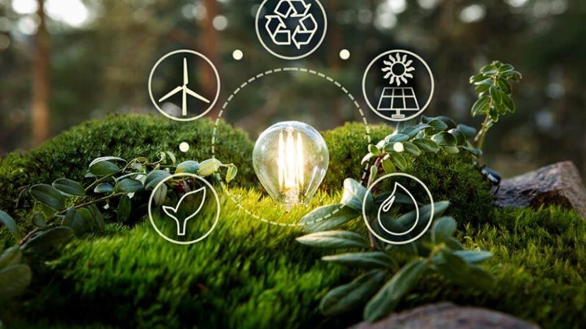 India’s bioeconomy set to soar to $300 Billion by 2030 with new BioE3 ...