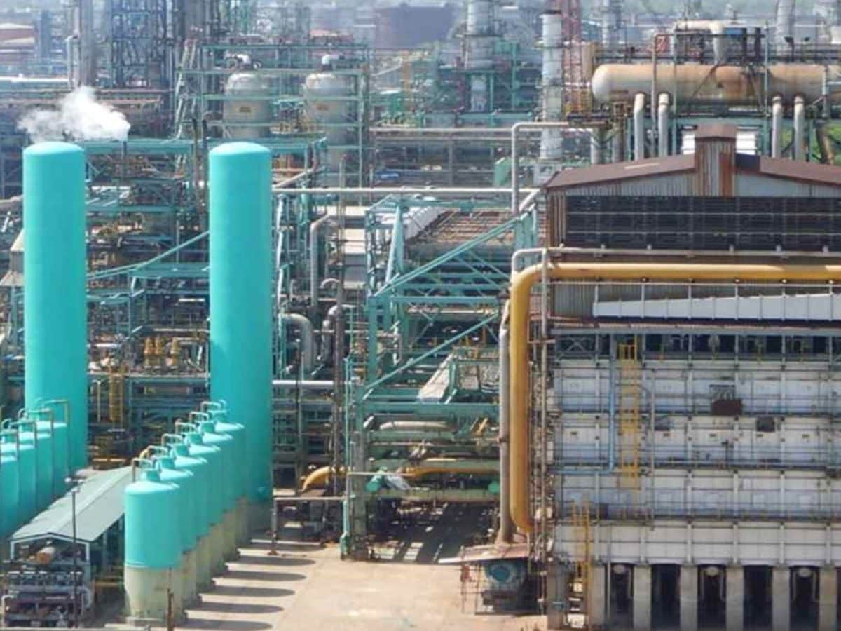 Velvin Group's strategic partnership with Rengo Co - Manufacturing ...