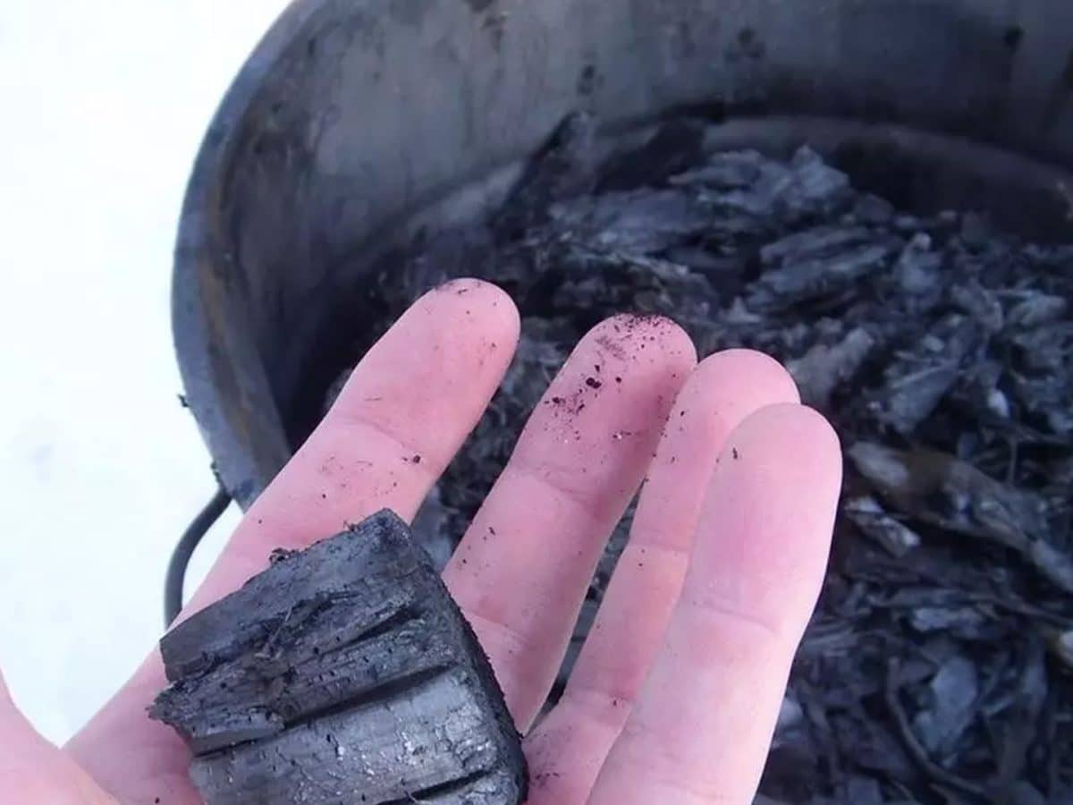 Varaha launches India’s 1st carbon removal credits from industrial ...