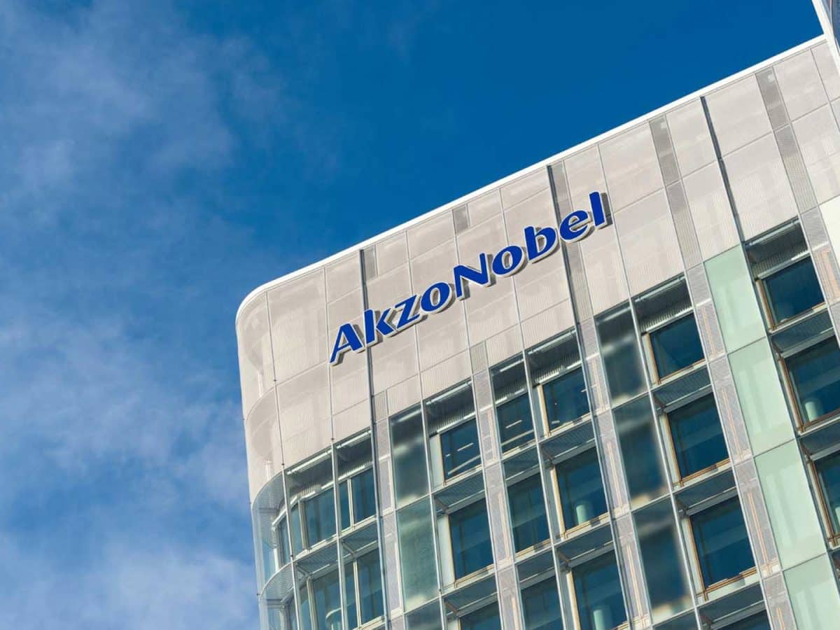 Akzo Nobel explores partnership or sale options in India's ...