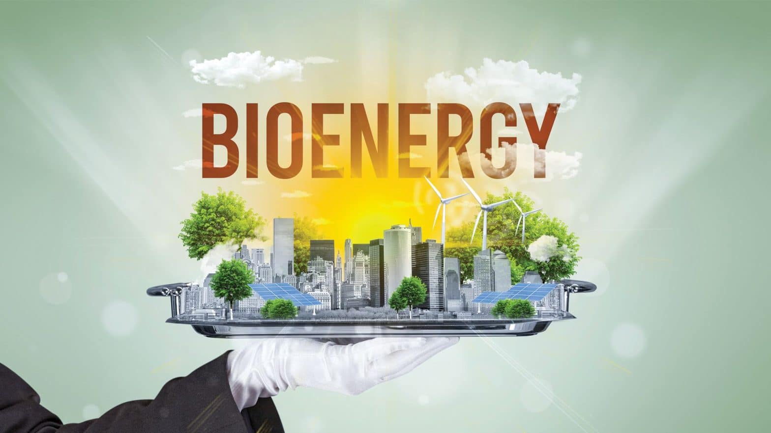BCL's green energy push gains momentum with bio-diesel, ethanol plants ...