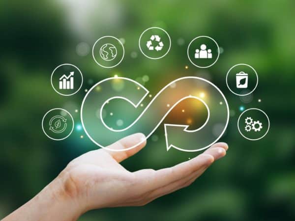 Plastic waste and circular economy: rethinking the future of ...