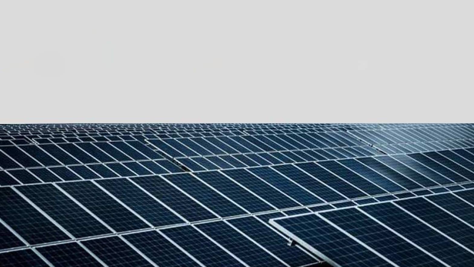 BluPine Energy wins SECI bid for 150 MW solar project