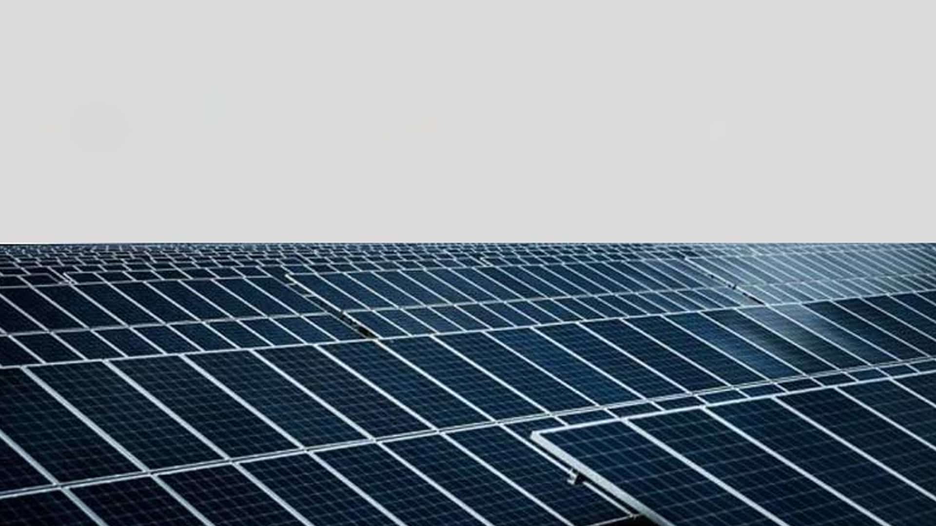 BluPine Energy wins SECI bid for 150 MW solar project