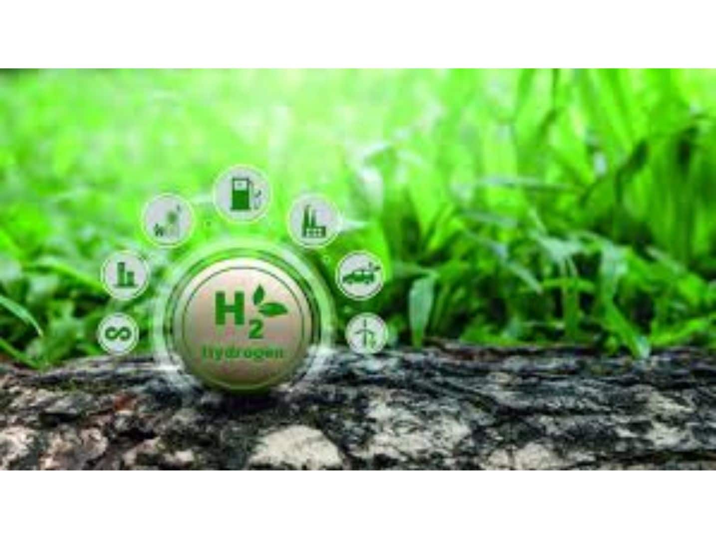 Oswal Energies to invest Rs 320 crore in green hydrogen infrastructure