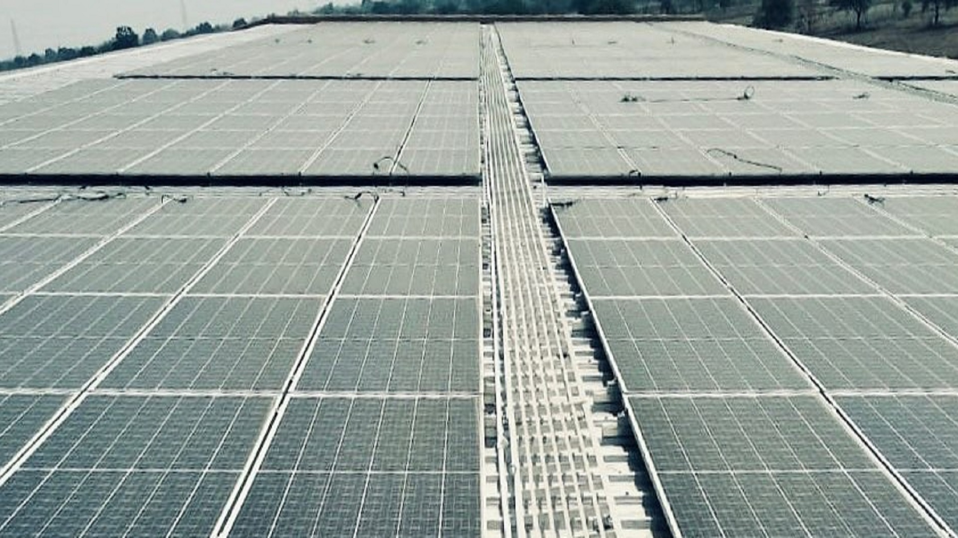 Thermax partners with Power Roll to develop solar film market in India ...